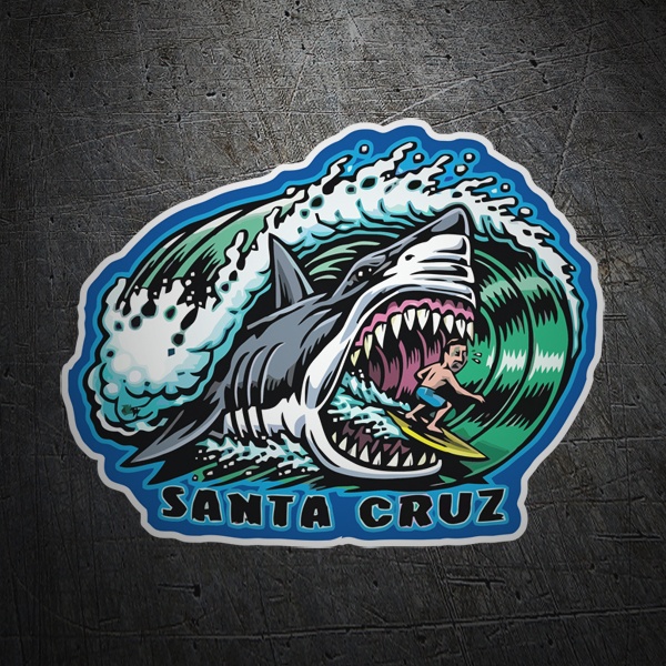 Santa Cruz skate stickers - Muraldecal