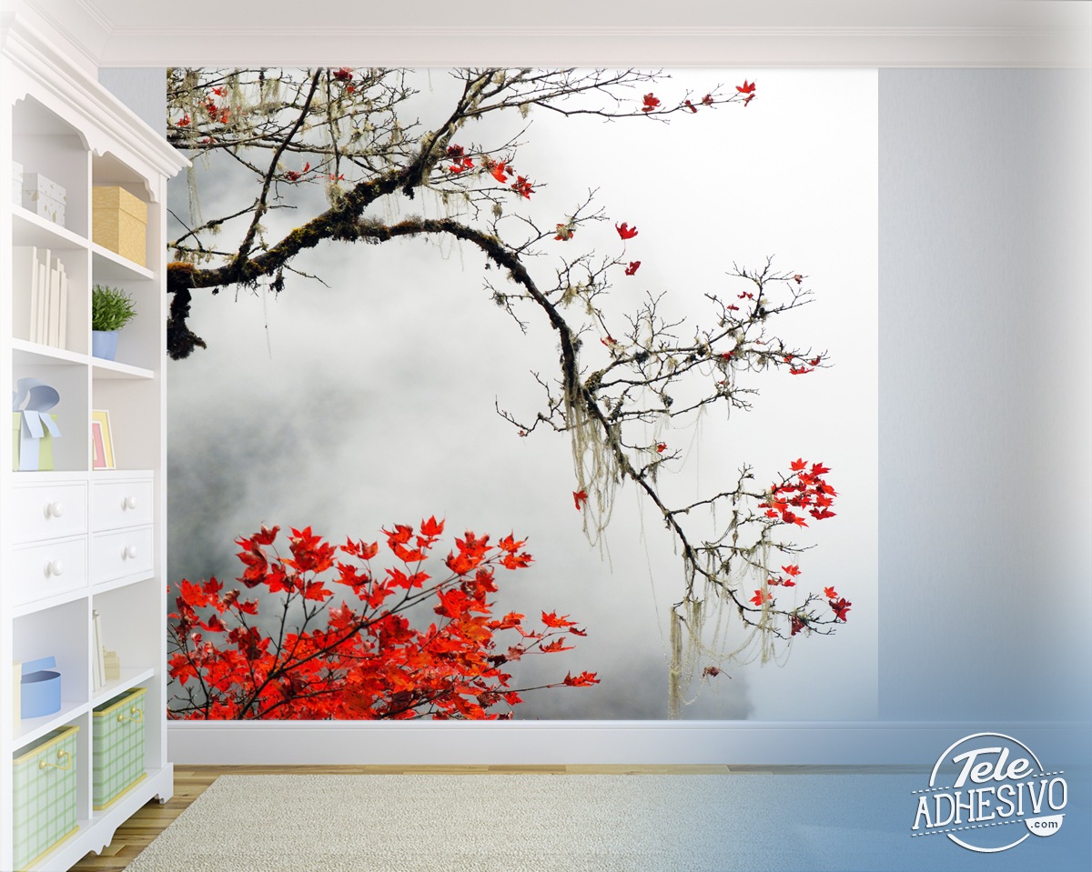 Wall mural Japanese Maple | MuralDecal.com