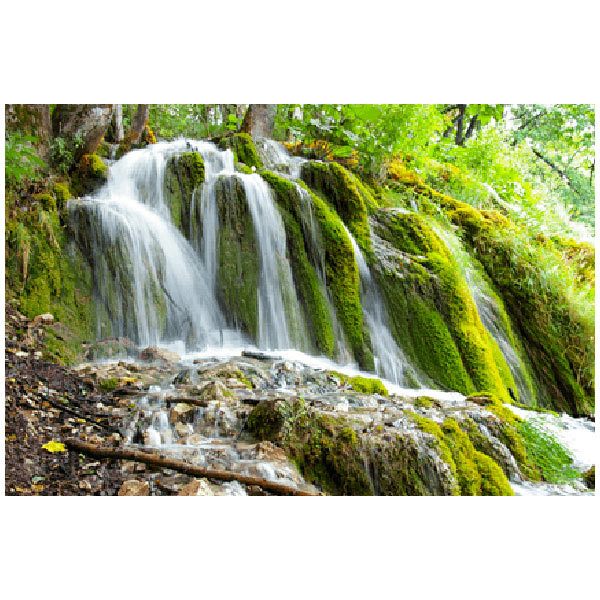 Self-Adhesive Vinyl Posters | MuralDecal.com